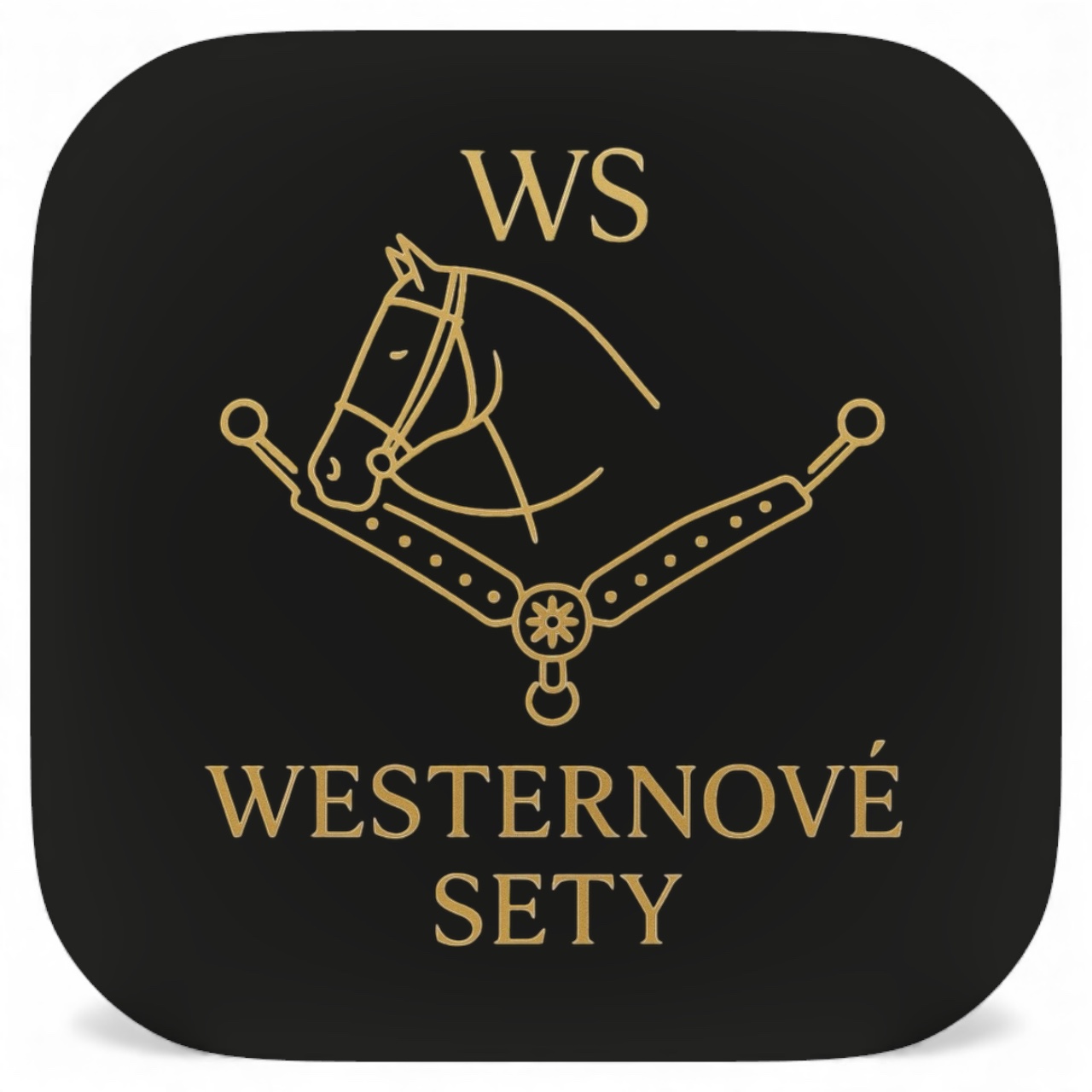 Kožené westernové sety – uzdečka a poprsník | Prémiová kvalita